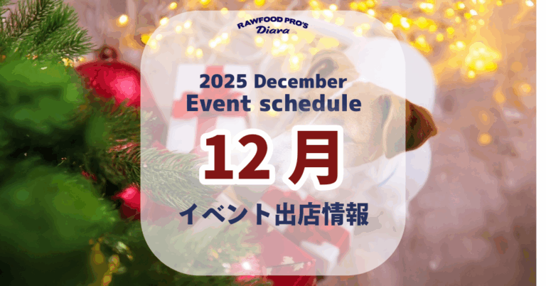 12月 イベント出店情報